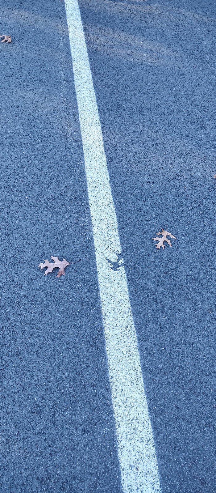 Painted the Road Line, Boss! - 9GAG