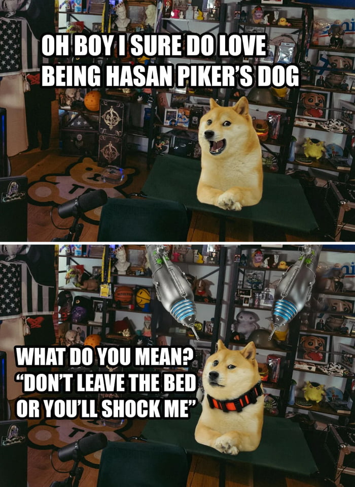 Hasan Pikers Dog - 9GAG