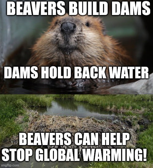 9gag needs more Beaver. - 9GAG