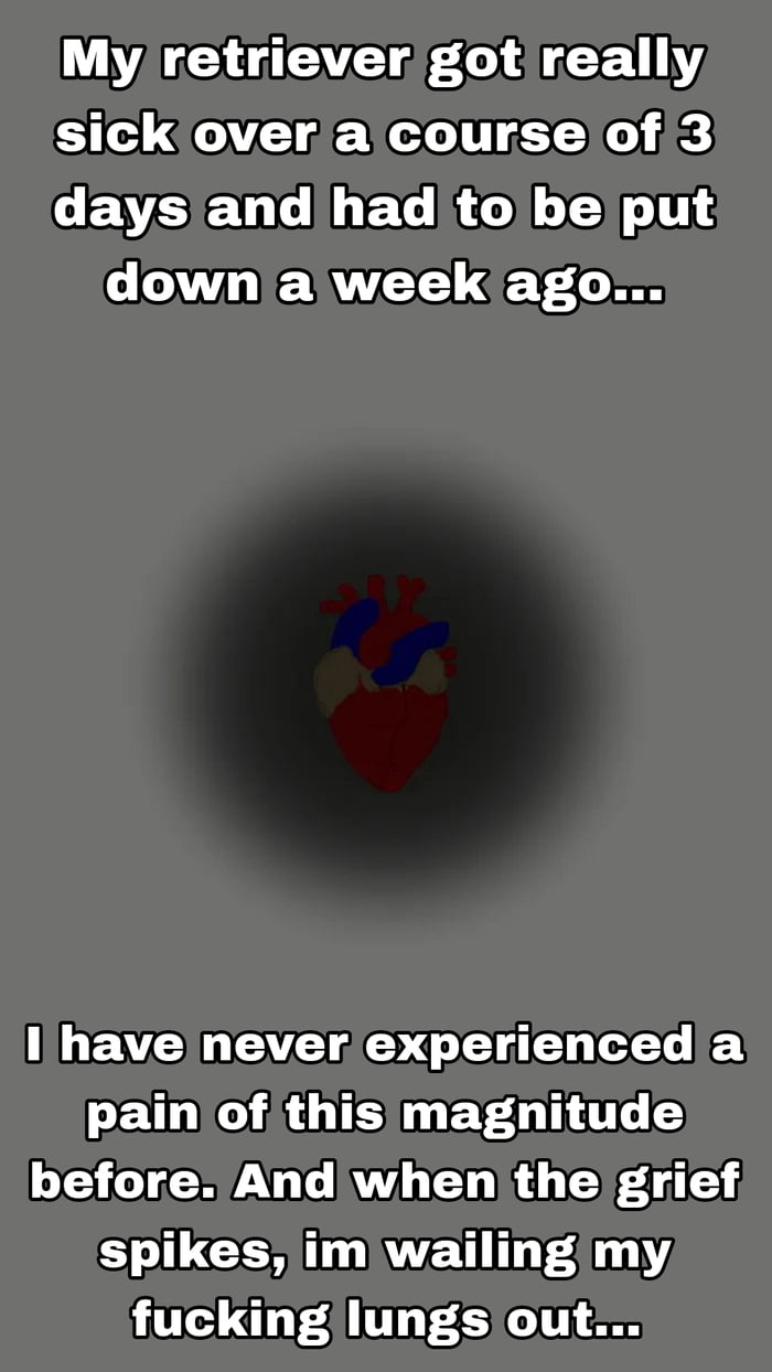 I Dont Know Why Im Posting This Thought Some Of You Might Also Be