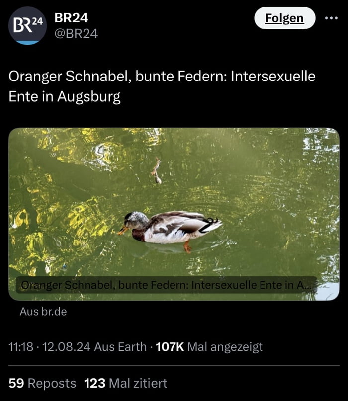 Die 18,36€ sind wirklich gut angelegt. - 9GAG