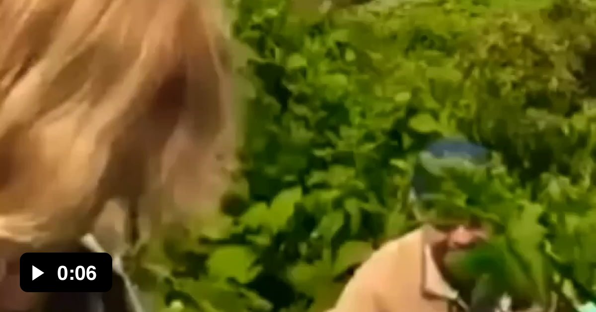 Old but gold, ok. - 9GAG