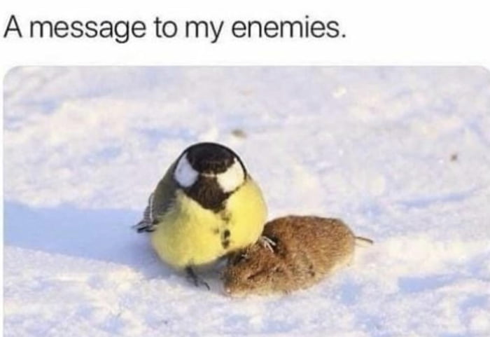 Warning was given - 9GAG