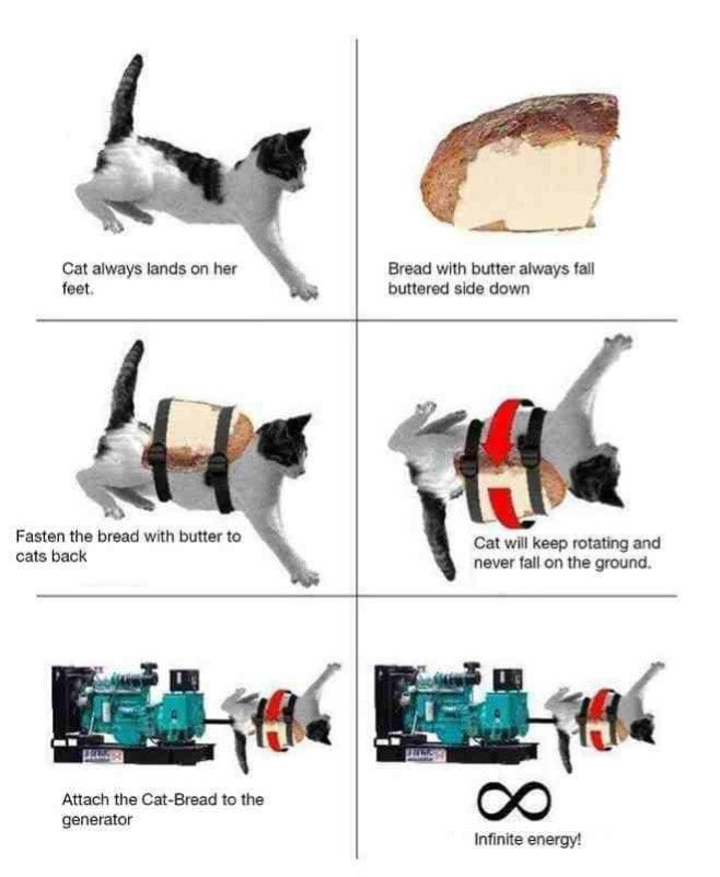 Perpetual Motion Cat - 9GAG