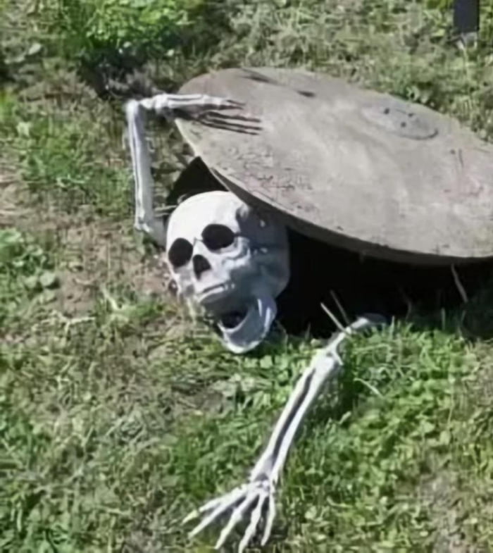 The rising skeleton - ambassador of manholes - 9GAG