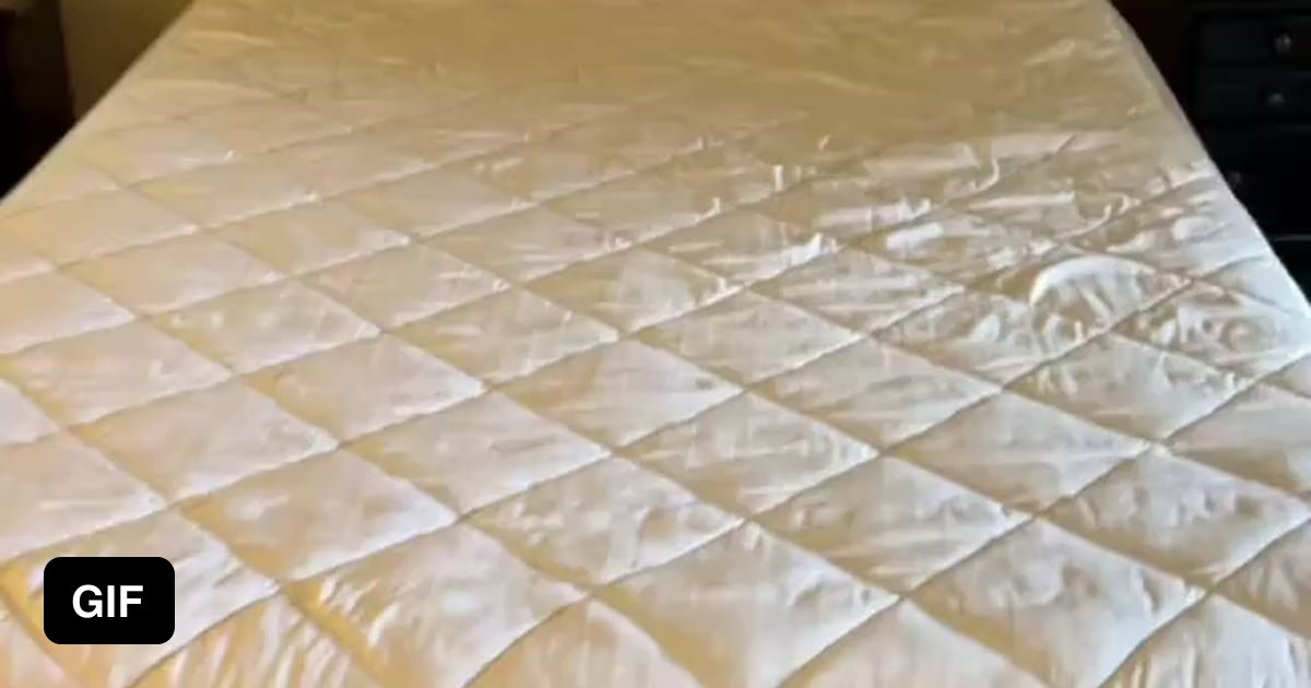 Shock content: giant bed bugs discovered. - 9GAG