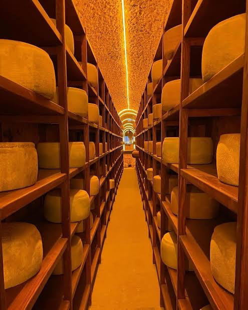 World’s largest cheese museum located in Kars/Türkiye. I thought you ...