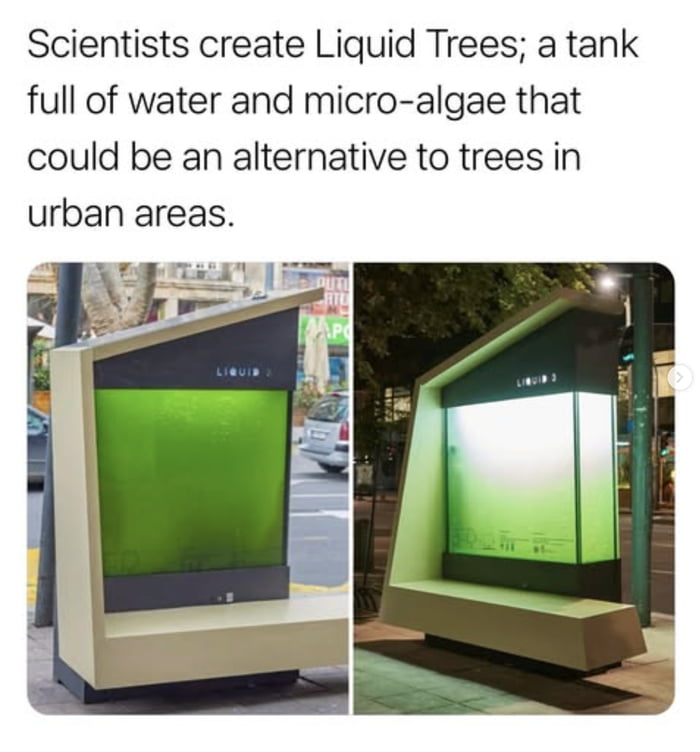 Did you know about liquid trees? - 9GAG