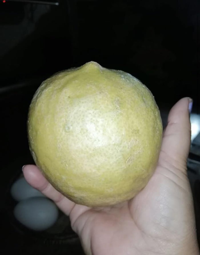 Of a lemon - 9GAG