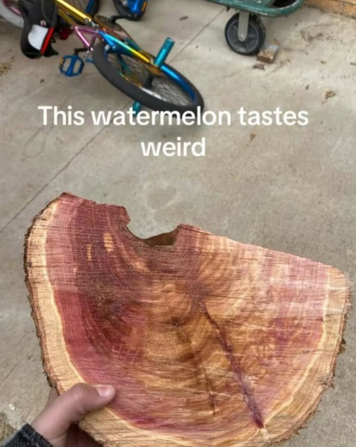 Dude, this is not exactly a watermelon - 9GAG
