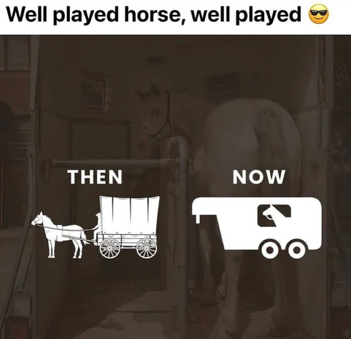 Well played, horses!! - 9GAG