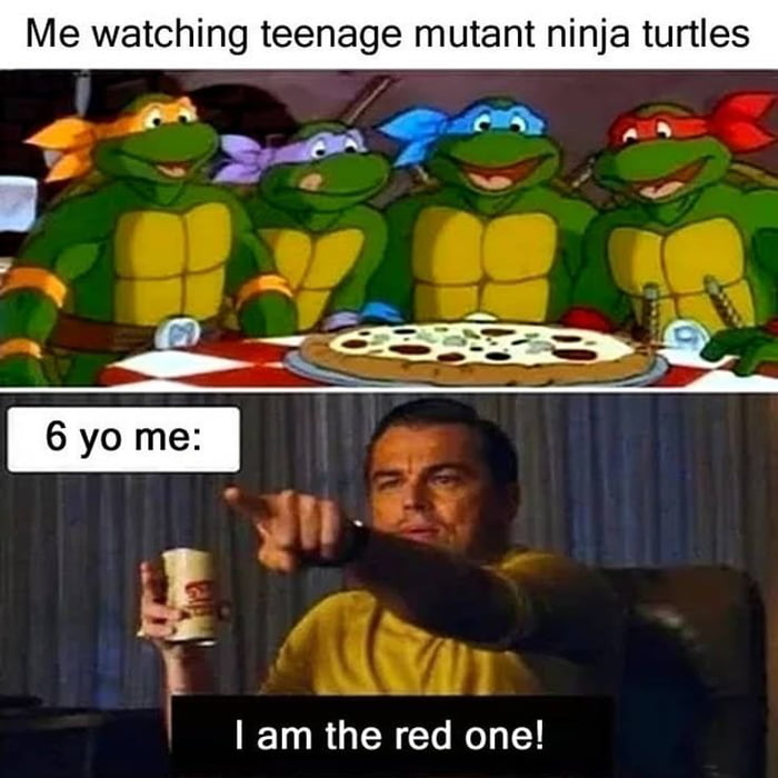 Claiming your turtle identity like a pro - 9GAG