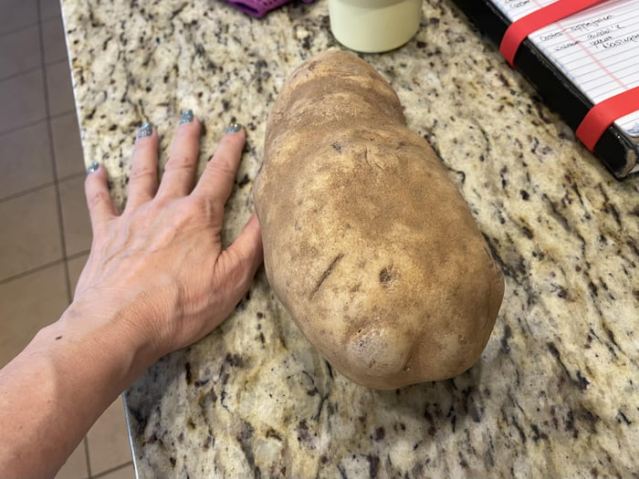 Behold the absolute unit of a potato. - 9GAG