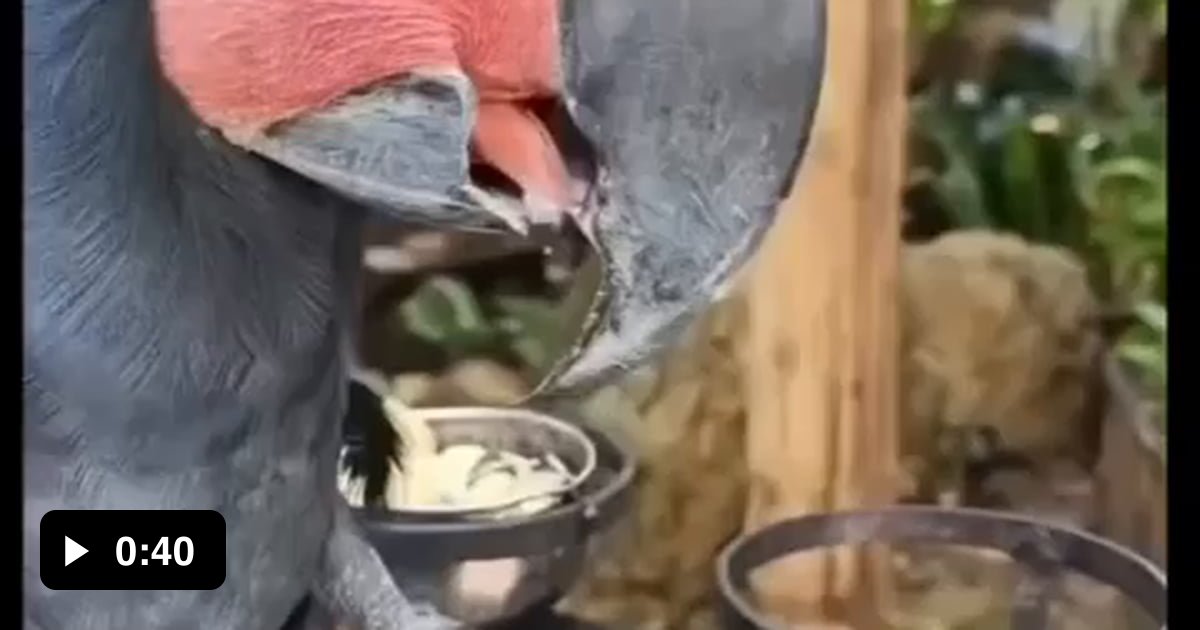 When the snack requires maximum concentration - 9GAG