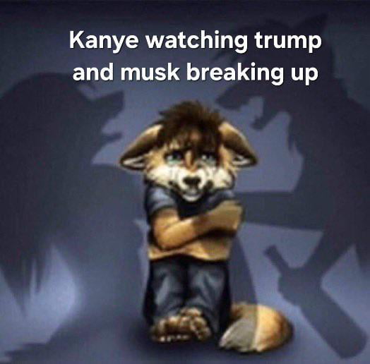 The political furry drama continues - 9GAG
