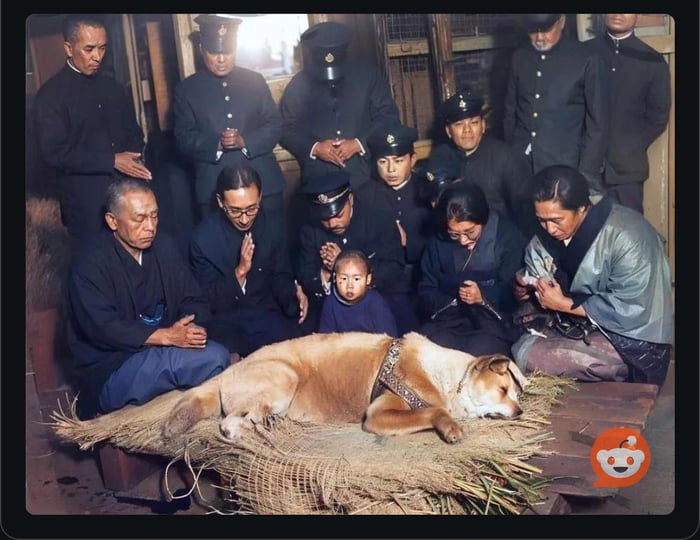 Last picture of Hachiko, the faithful dog who waited for over 9 years ...