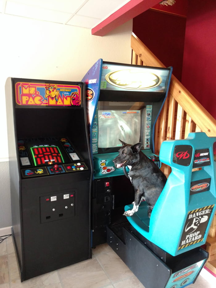 I haven't seen one of these in 15 years! The cabin we're staying at had ...