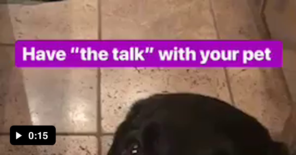John Mayer Explains Daylight Savings Time to his dog, Moose - 9GAG