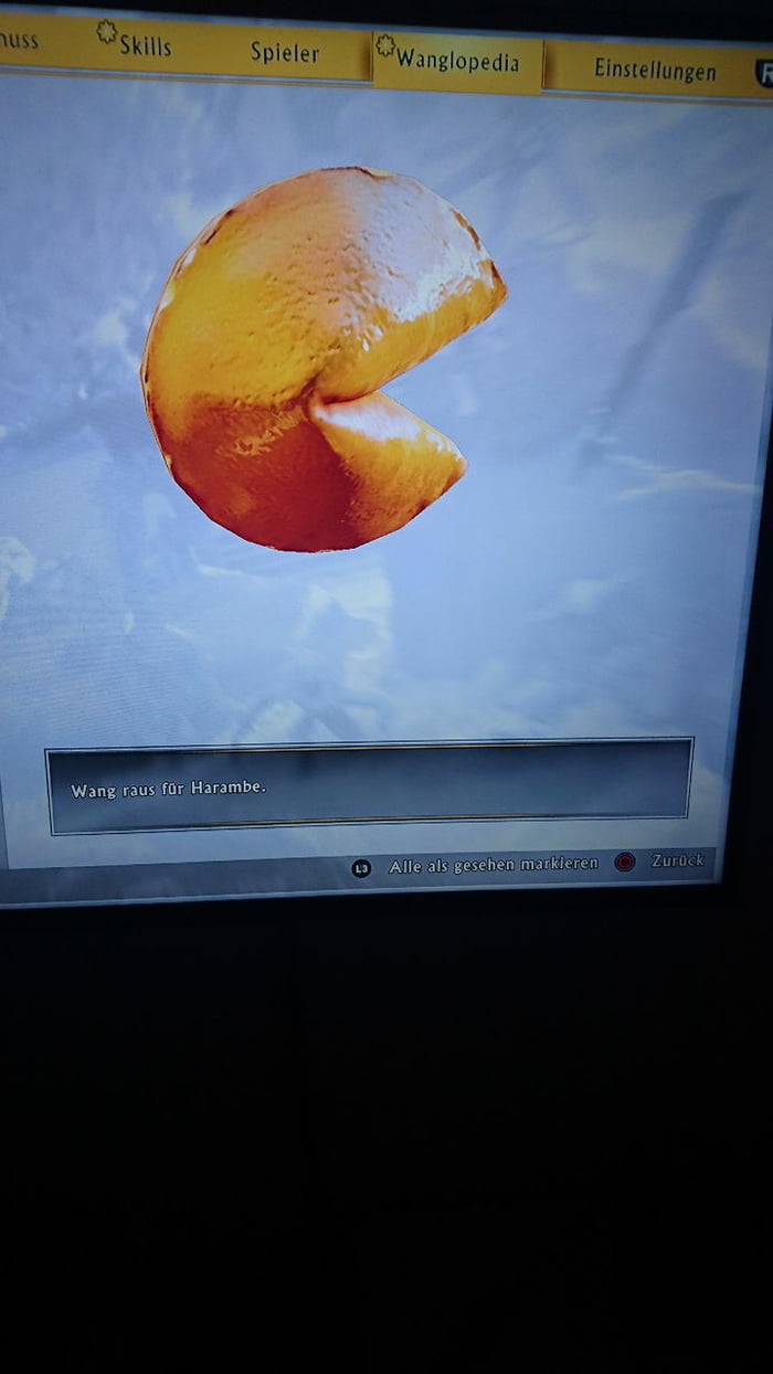 Memes in games. *shadow warrior 2* - 9GAG