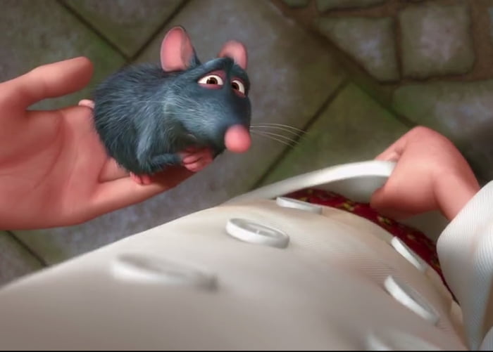 Nibble it little chef. - 9GAG