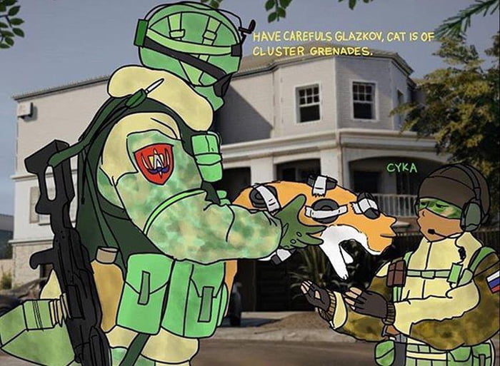 Fuze's cat - 9GAG