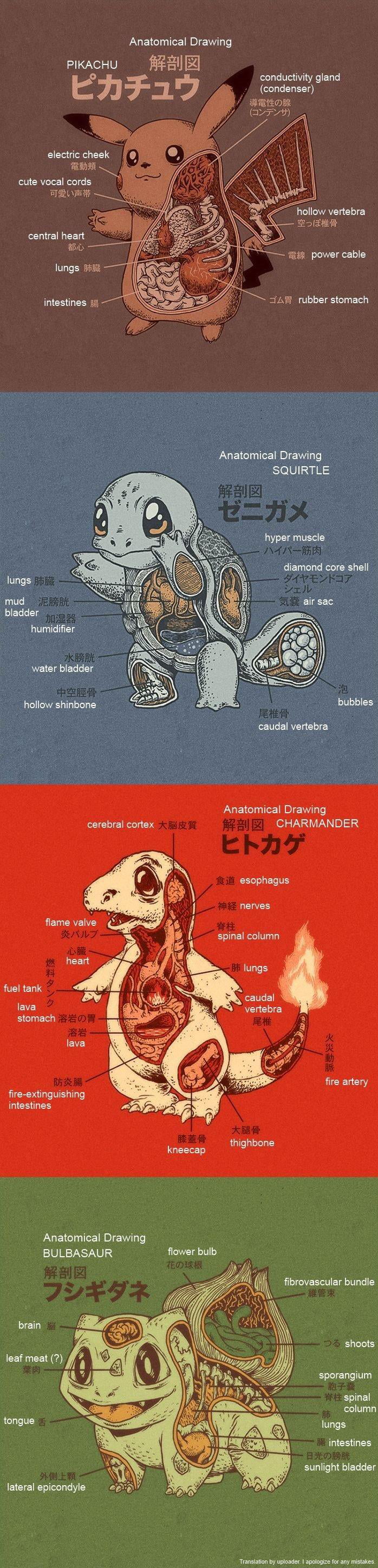 Poké-anatomy - 9GAG