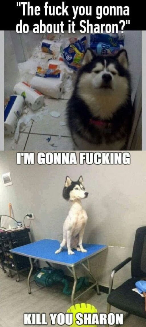 Sharon!! - 9GAG