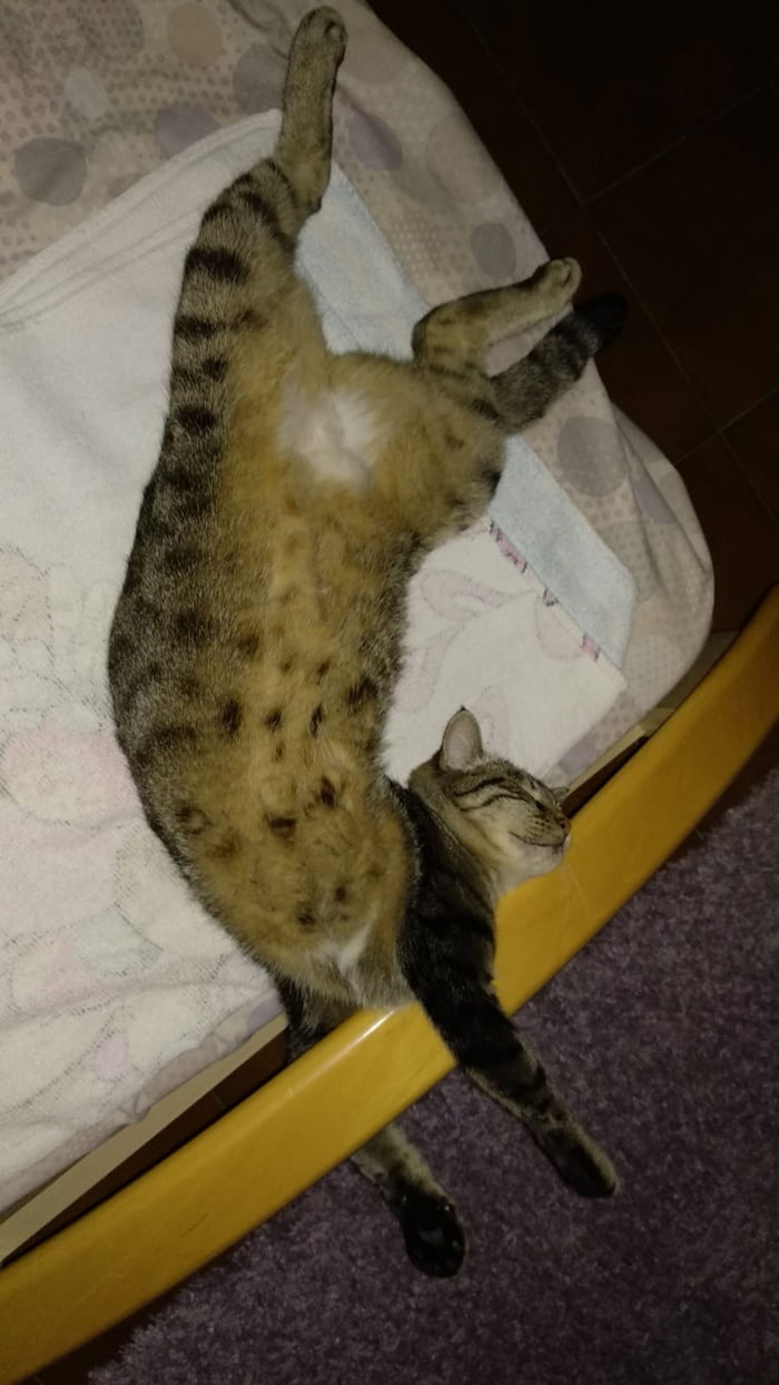 Derpy sleeper - 9GAG