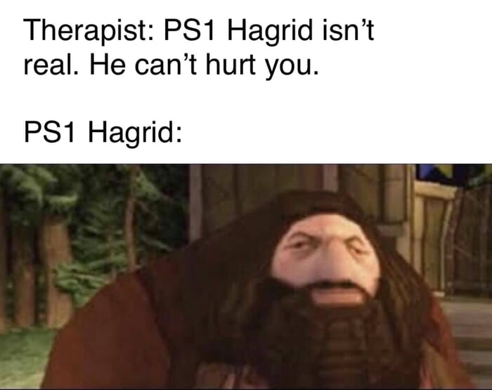 You dun it nao Arry Porrer - 9GAG