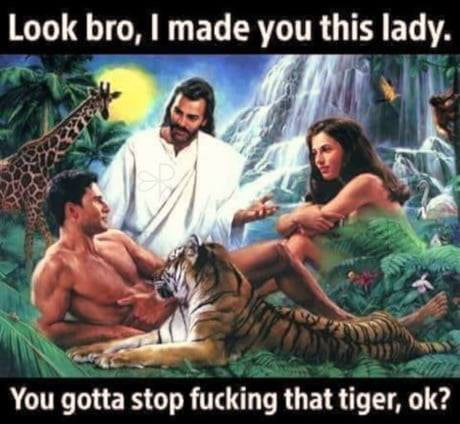 Stop f**king that tiger - 9GAG