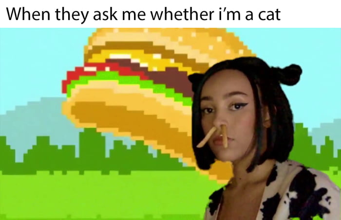 My milkshake brings all the boys to the farm - 9GAG