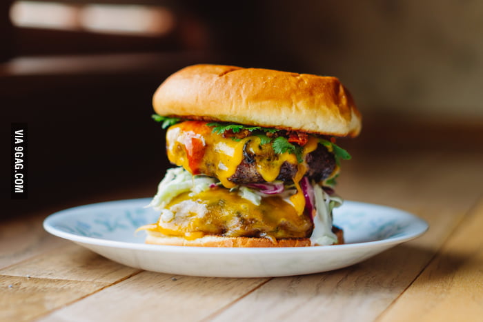 The Everything Burger - 9GAG