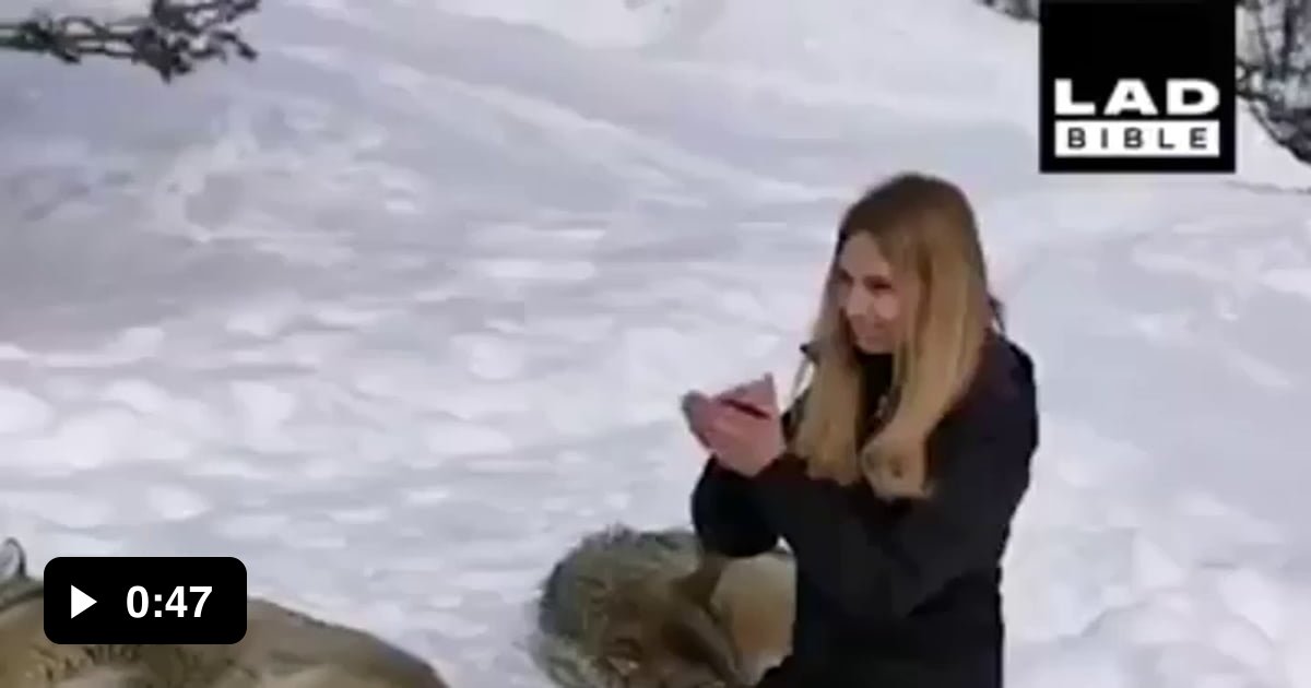 Howling with the wolves - 9GAG