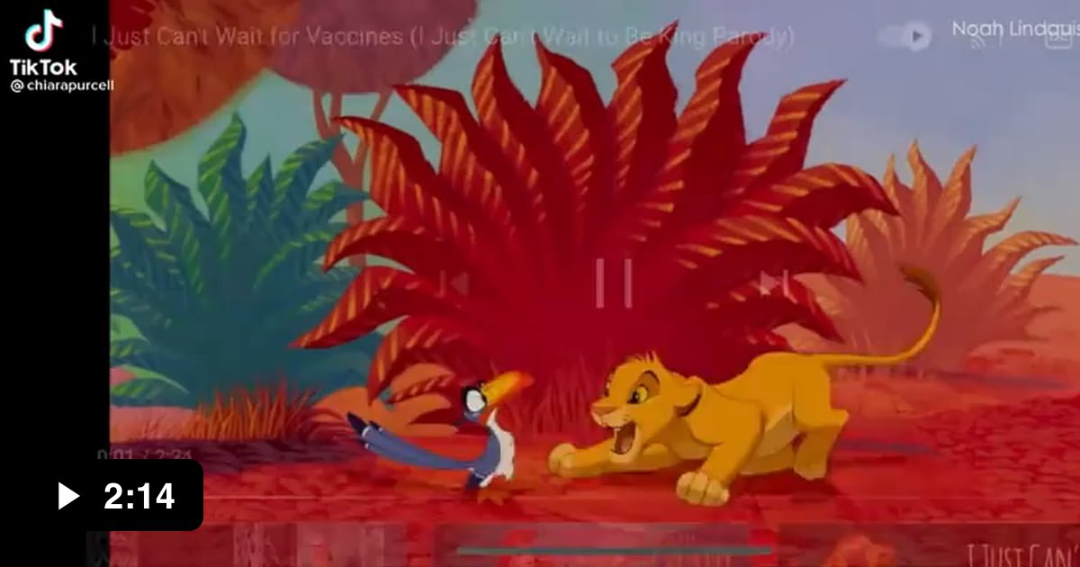 Simba knows what’s up! - 9GAG
