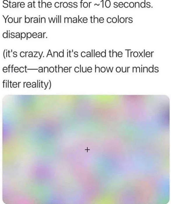 Crazy Magic stuff called "Troxler Effect" - 9GAG