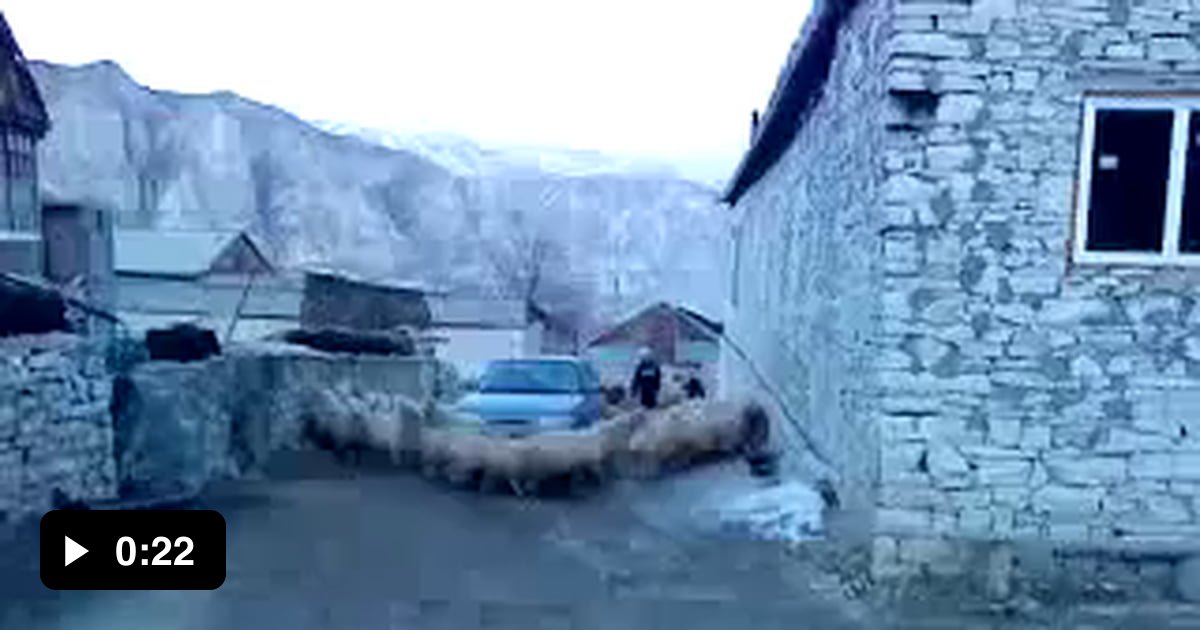 Sheep force field. - 9GAG