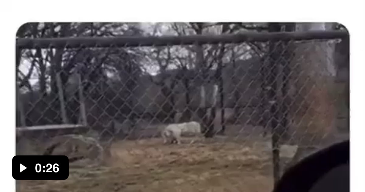 Remember to always smile whatever problems you face today like this donkey - 9GAG