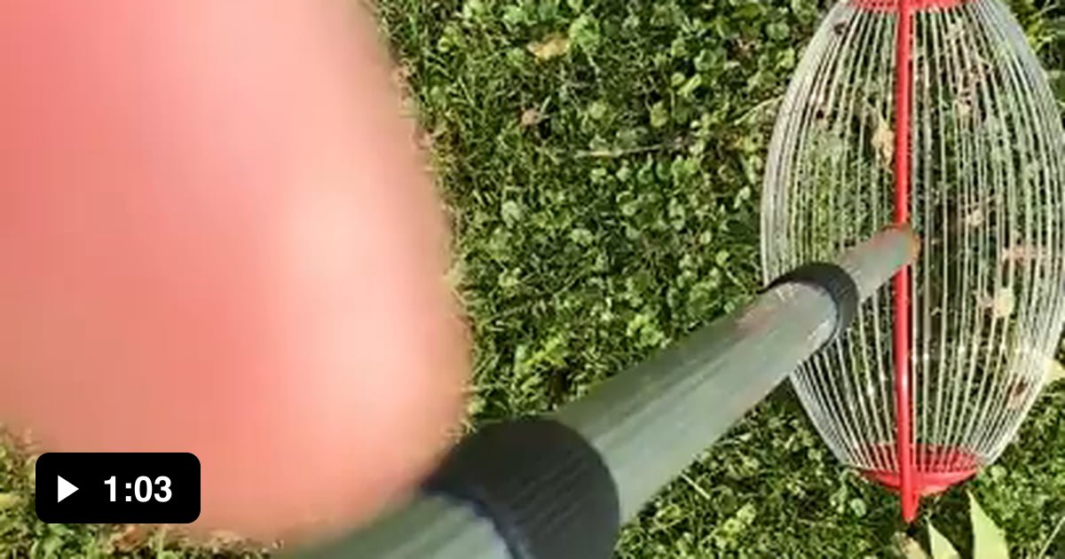 This rolling walnut grabber is so satisfying, it’s actually fun! - 9GAG