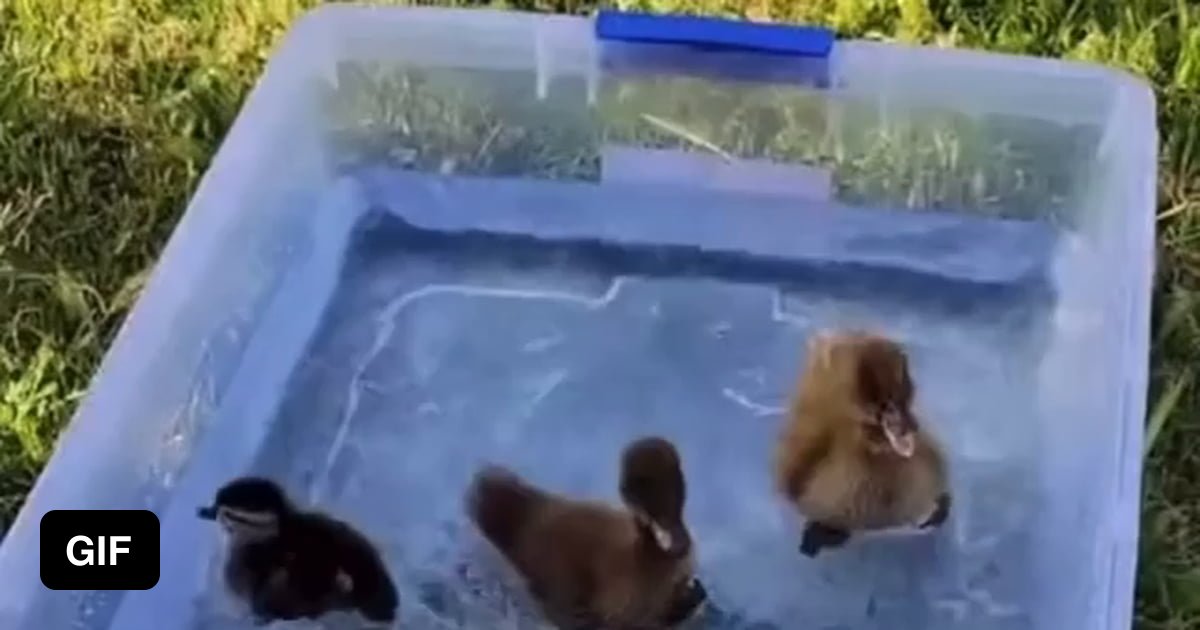 Just keep spinning - 9GAG