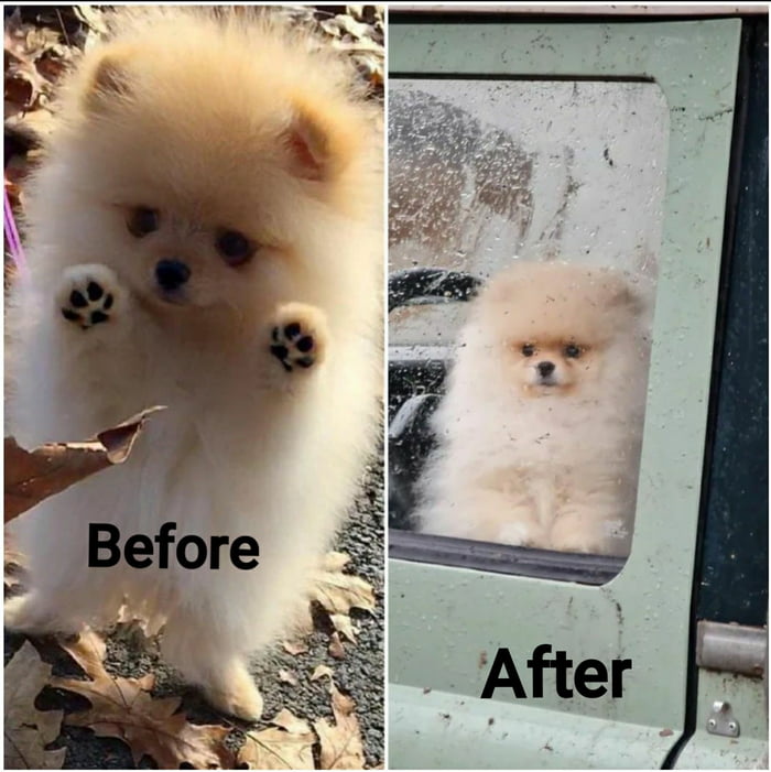 *Contemplating Life Decisions* - 9GAG