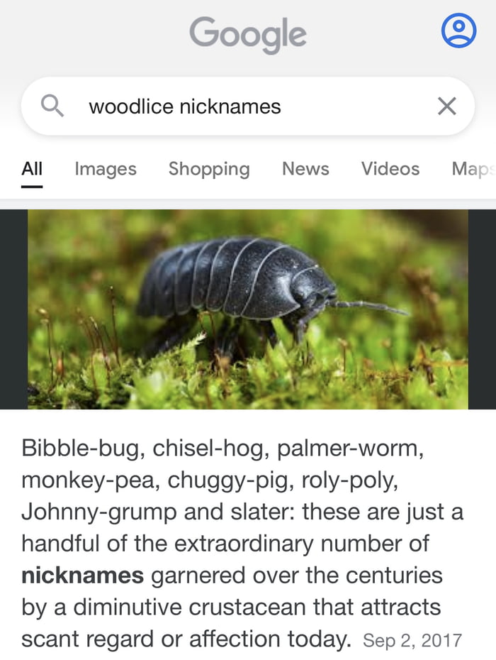 These Roly Poly nicknames can be used as insults - 9GAG