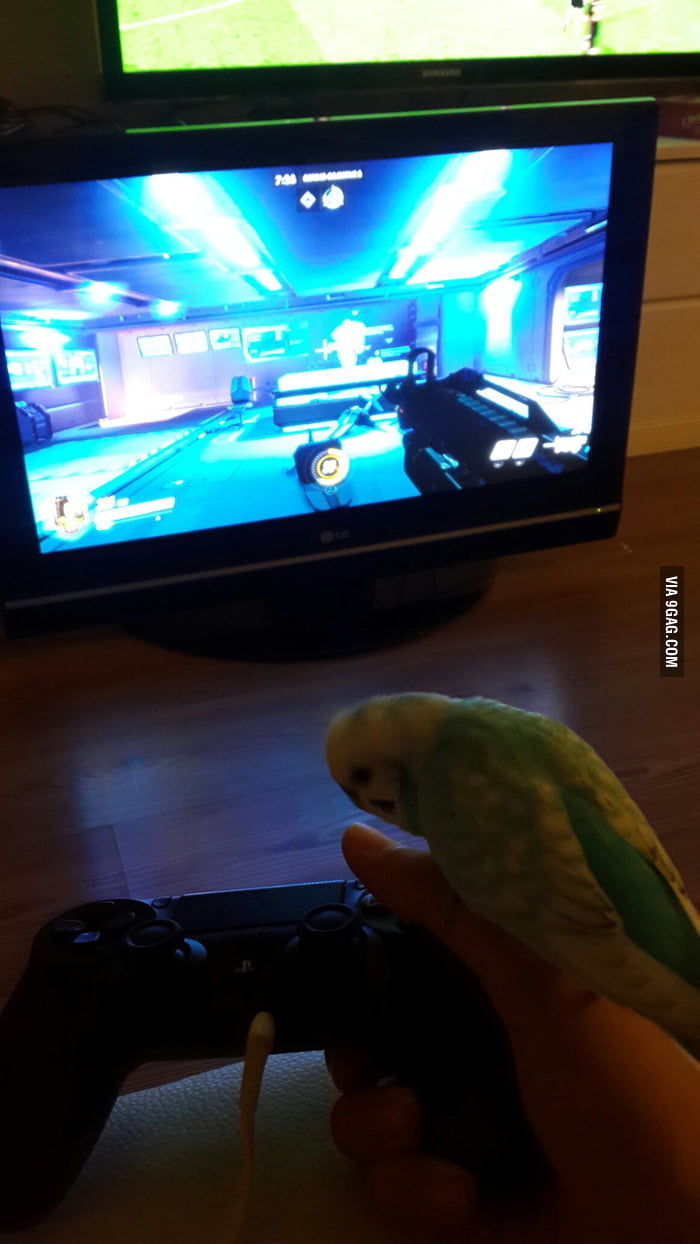 Real Bastion players be like - 9GAG