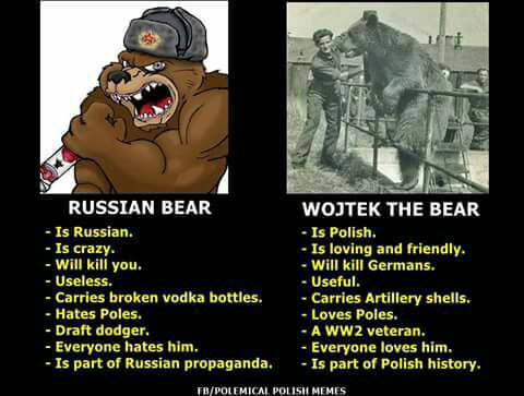 Good bear Wojtek - 9GAG