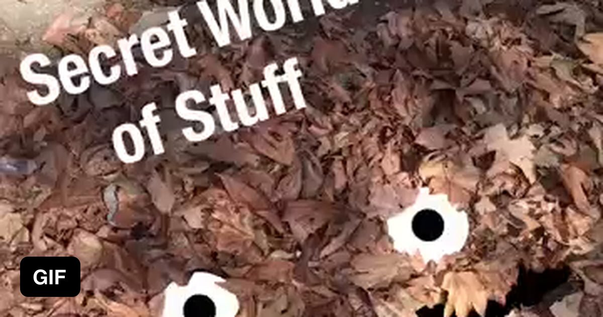 Secret world of stuff - 9GAG