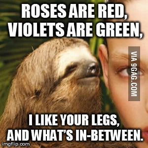 Sloth and the slut's slot - 9GAG