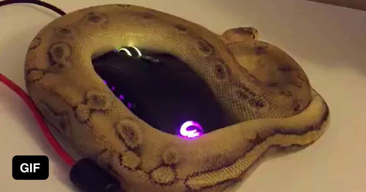 How to correctly use a mouse - 9GAG