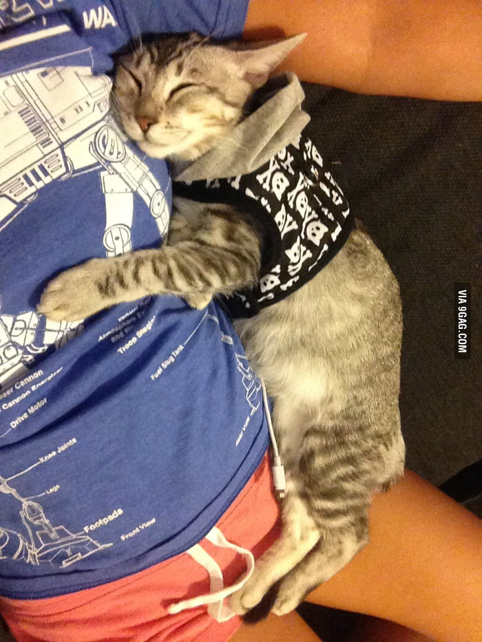 I've got a stage five clinger - 9GAG