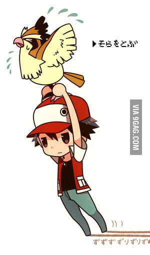 Pidgey use Fly! - 9GAG
