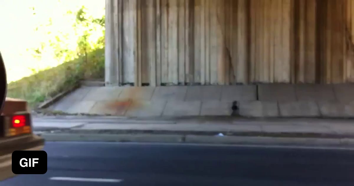 Weirdest. Carpool. Ever. - 9GAG