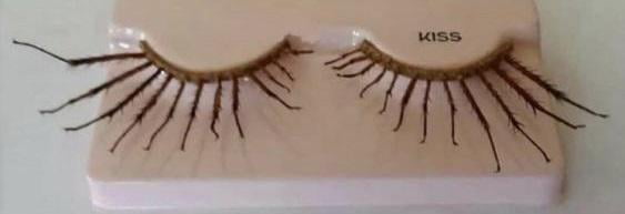 False eyelashes made from roach legs - 9GAG